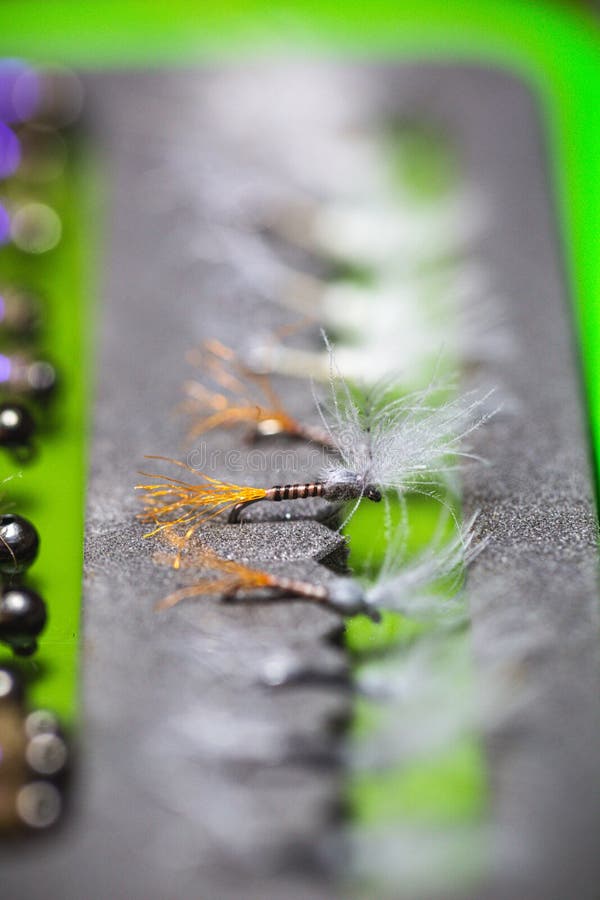 Spent mayfly dry fly stock photo. Image of emerger, fishing - 184837566