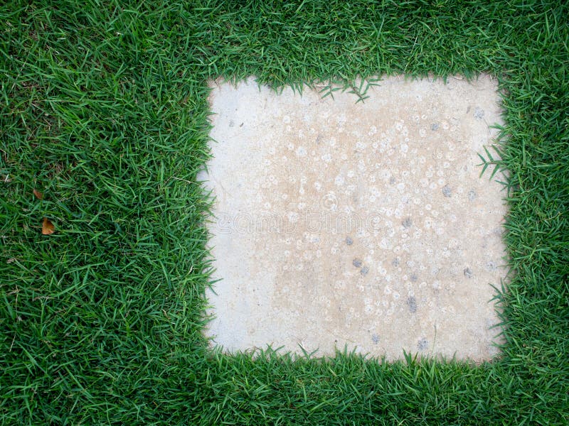 Closeup the Image on the Top View of the Texture Lawn, There is Space ...