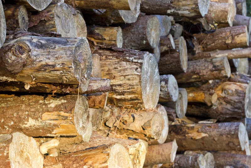 Closeup Image of Tree Logs. Stock Image - Image of timber, industry ...