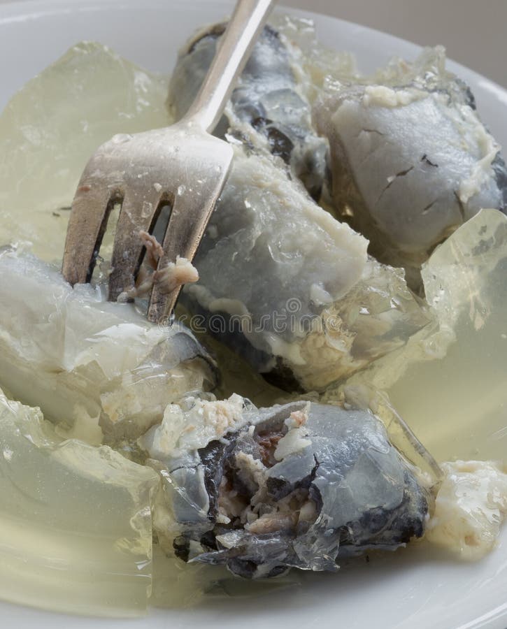Closeup jellied eels stock image. Image of traditional - 2164795