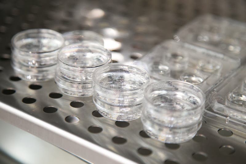 Closeup of Lab Equipment for Scientific Research with Fluids Stock ...