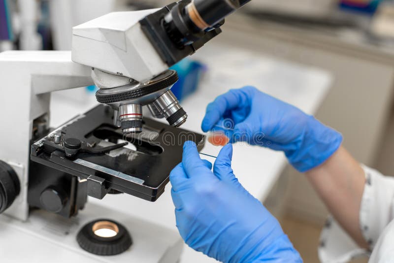 Close Up Lab Technician Research Blood Sample in Microscope Stock Photo ...