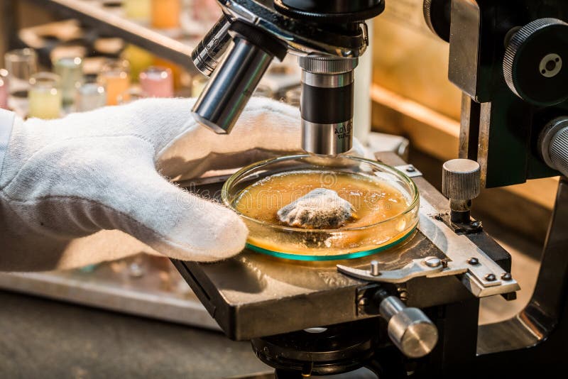 Laboratory with Sample Testing through the Microscope Stock Image ...