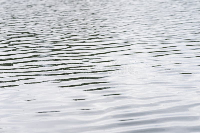 Closeup of Lake Water Surface with Wind Ripples Stock Photo - Image of ...