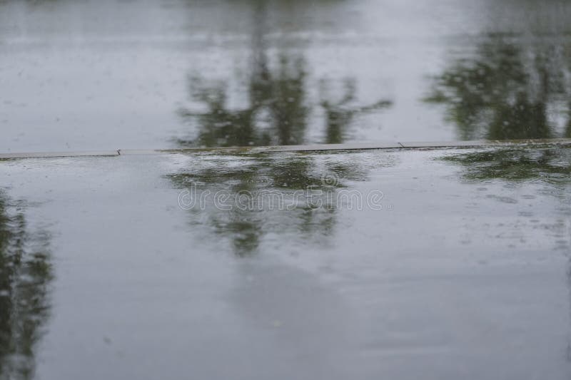 Closeup of Lake Water Surface with Wind Ripples Stock Photo - Image of ...