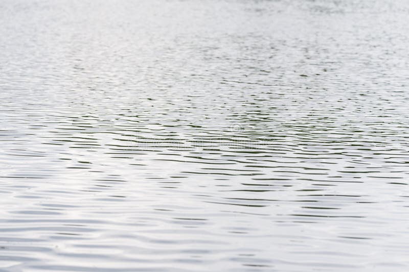 Closeup of Lake Water Surface with Wind Ripples Stock Image - Image of ...