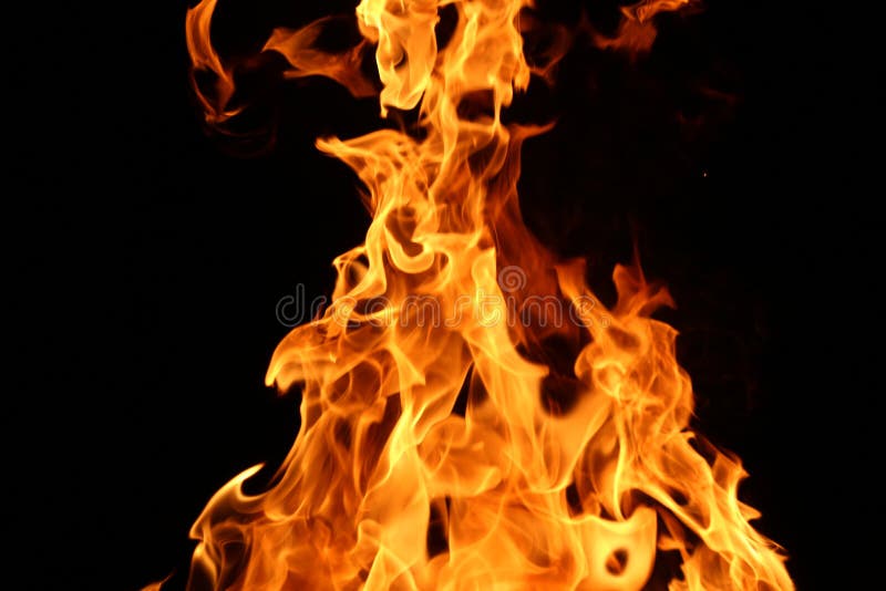 Closeup of a Large Fire. Wooden Planks To the Fire. the Fire is Lit in ...
