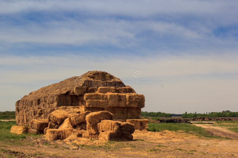 Closeup Large Industrial Haystack in Country in Spring Stock Photo ...