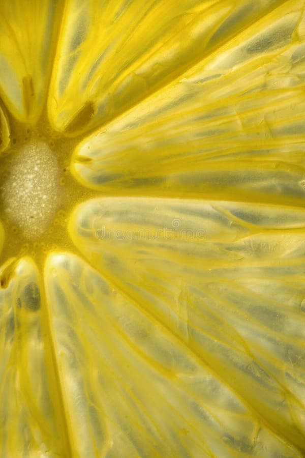 Closeup Lemon Slice. Transparent Texture of Lemon Stock Image - Image ...