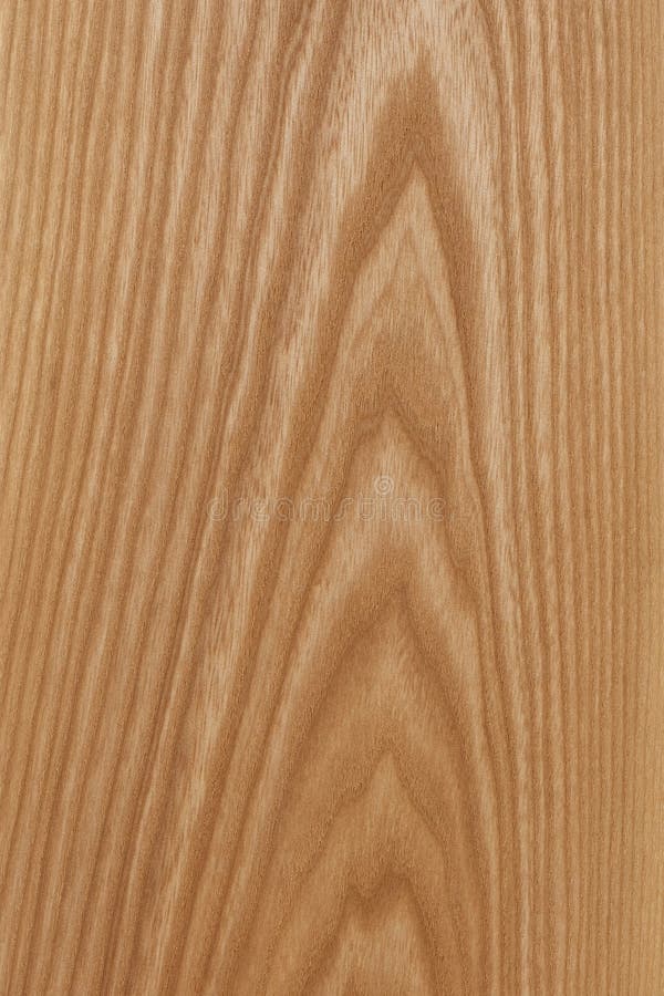 Closeup Light Beige Wood Texture Stock Image - Image of textured, board ...