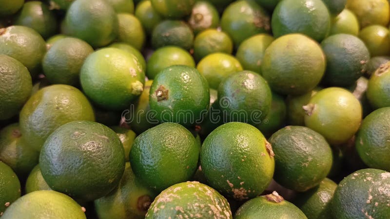 Closeup Lime Asian Calamansi Fruits Stock Image - Image of yellow ...