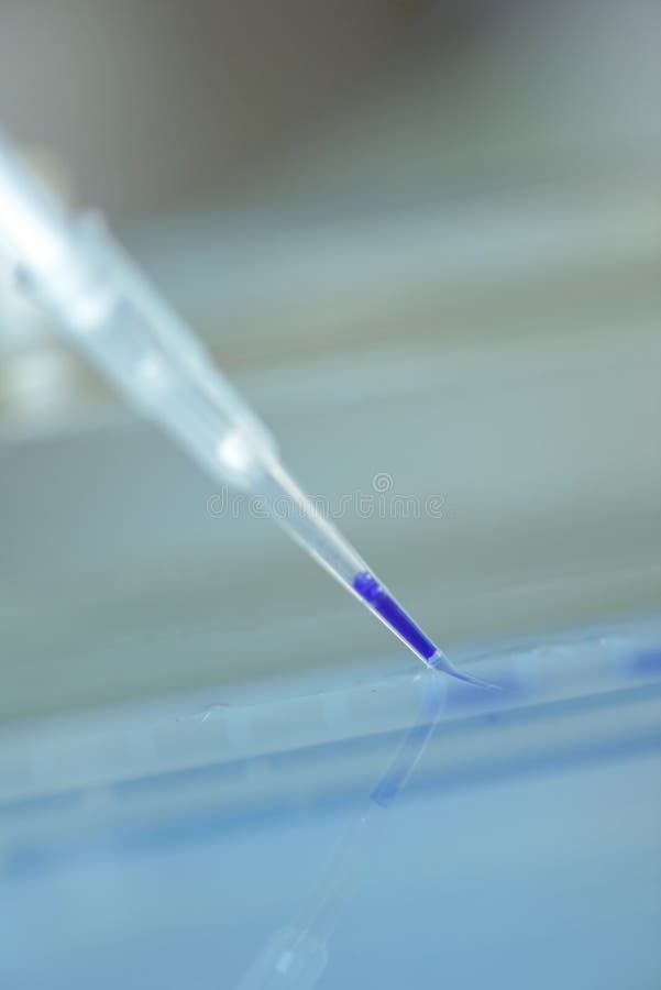 Closeup liquid in pipette stock photo. Image of laboratory - 84761158