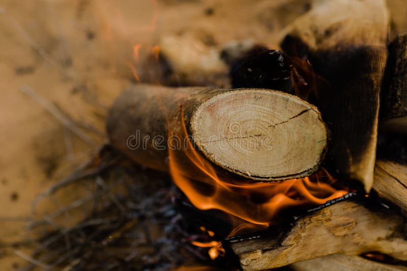 Closeup of a Log Burning on the Flame of a Burning Bonfire for Camping ...
