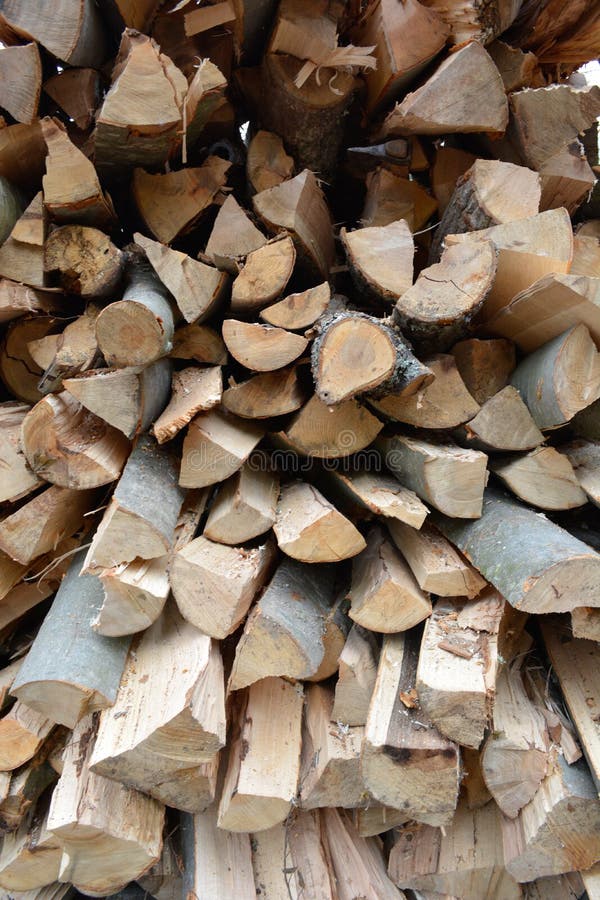 Pile of beech firewood stock photo. Image of energy, shot - 22279696