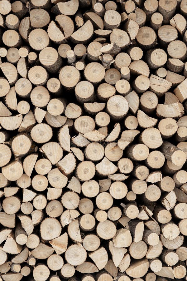 Closeup of Logs of Trees in Nature. a Lot of Cutted Logs Stock Image ...
