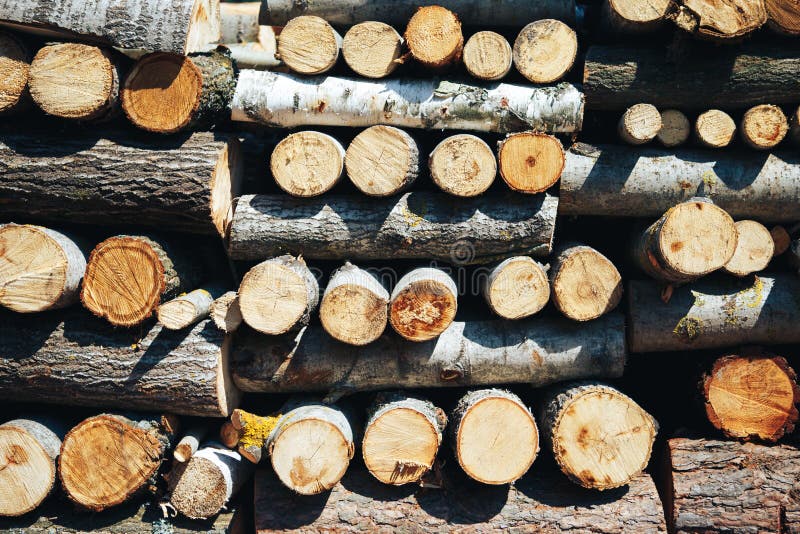 Closeup of Logs of Trees in Nature. Stack of Logs Stock Photo - Image ...