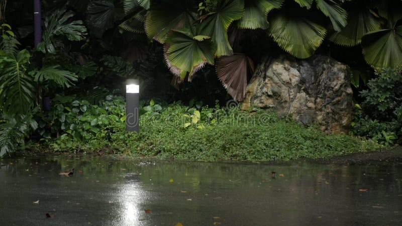 Closeup Low Angle View of Summer Heavy Rain Drops Falling into Puddle ...