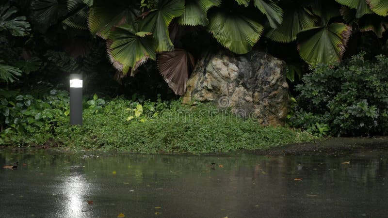 Closeup Low Angle View of Summer Heavy Rain Drops Falling into Puddle ...