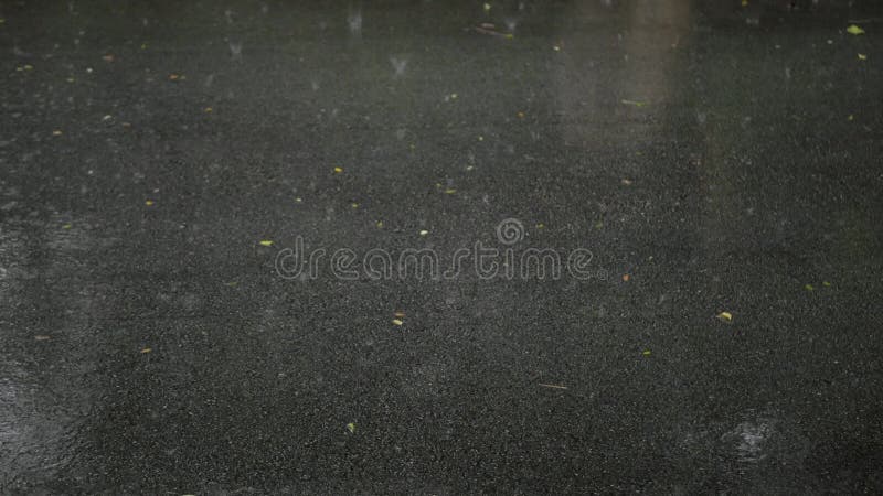 Closeup Low Angle View of Summer Heavy Rain Drops Falling into Puddle ...