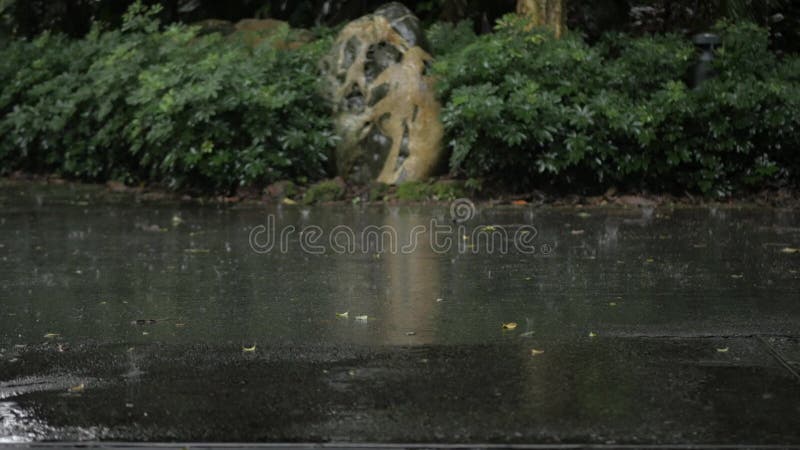Closeup Low Angle View of Summer Heavy Rain Drops Falling into Puddle ...