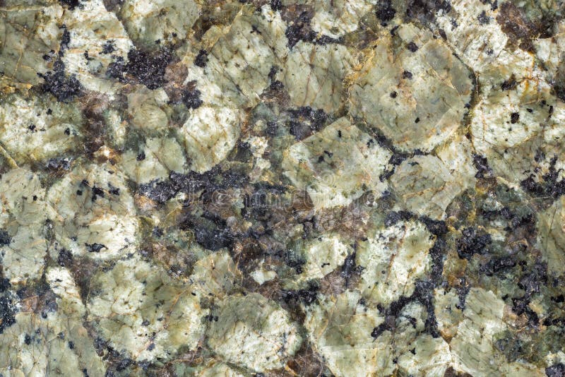 The Phaneritic Texture of Granite Common Intrusive Igneous Rock with ...
