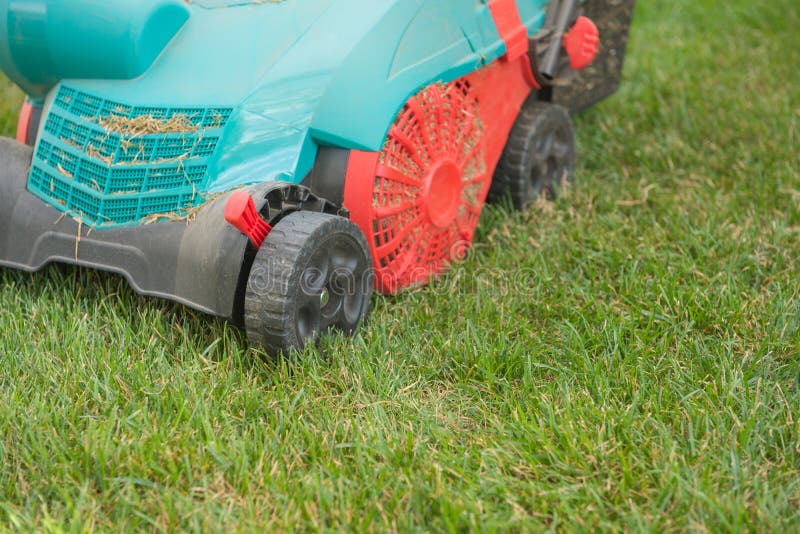 Closeup Machine for Cutting the Grass on a Lawn Stock Photo - Image of ...