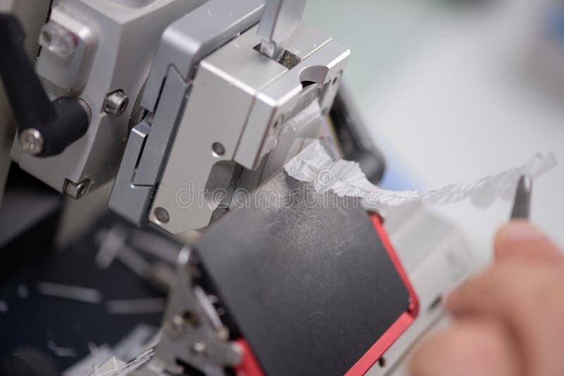 Lab Testing Tissue Paper Stock Photos - Free & Royalty-Free Stock ...