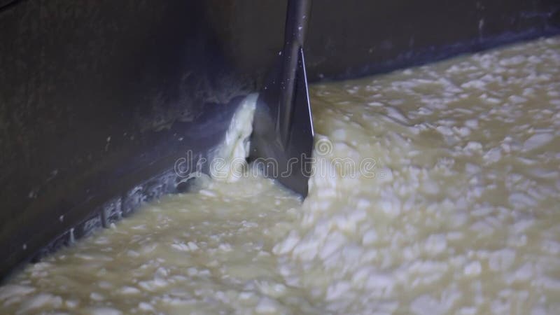 Closeup the Machine Separating the Whey from Curds during Making Cheese ...