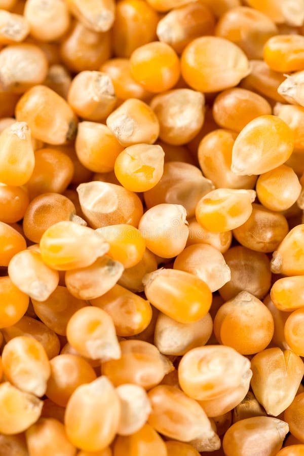 Closeup Macro Flat Lay Above Raw Popcorn for Advertising Stock Image ...