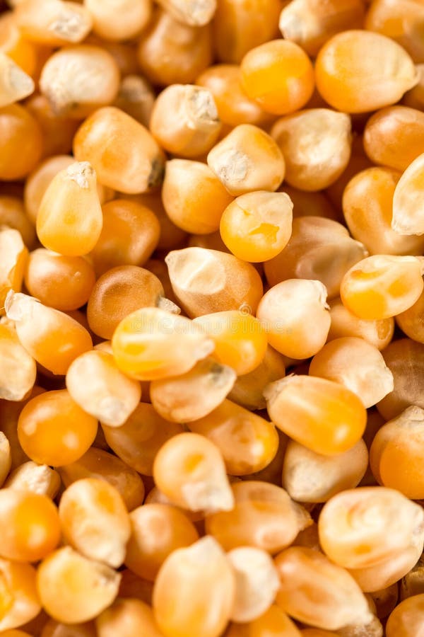 Closeup Macro Flat Lay Above Raw Popcorn for Advertising Stock Image ...