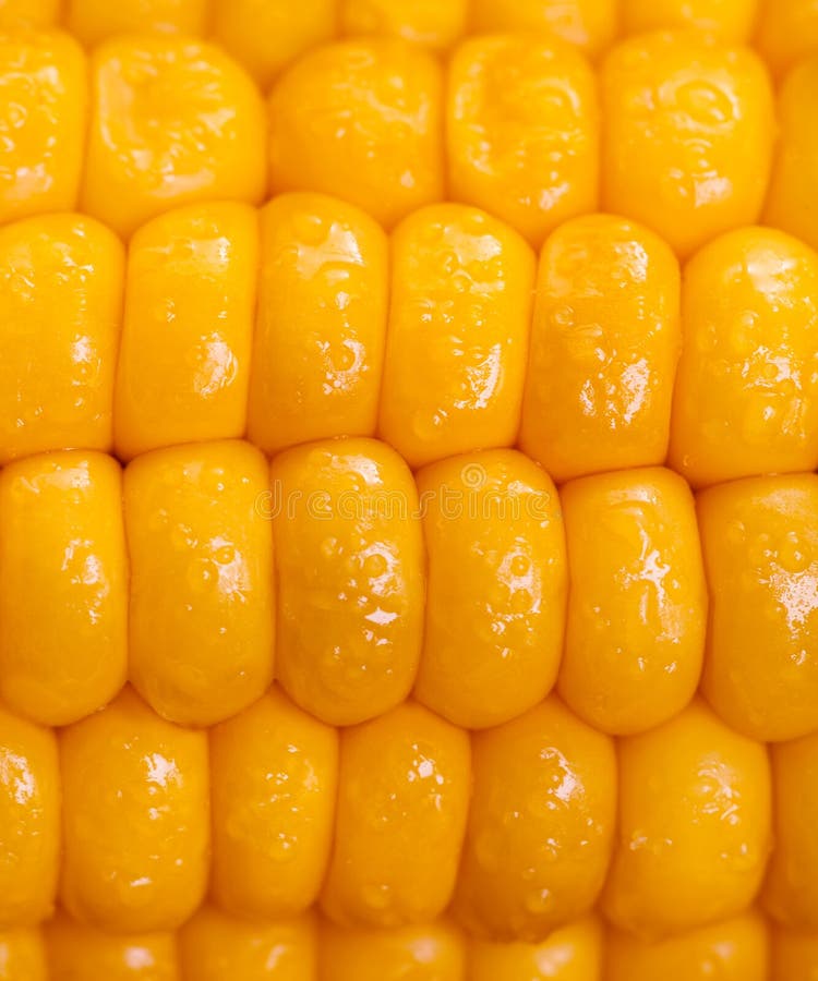 Maize with salt stock photo. Image of macro, agriculture - 27351752