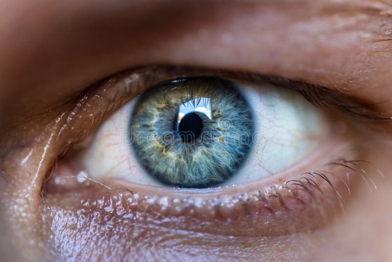 Closeup of a Male Blue Human Eye Stock Image - Image of blue, brown ...