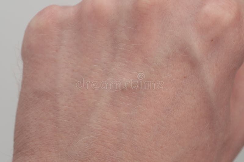 Closeup of Man Hand Skin with Visible Veins Stock Image - Image of ...