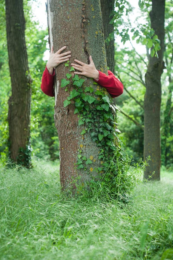 770 Young Man Hugging Tree Forest Stock Photos - Free & Royalty-Free ...