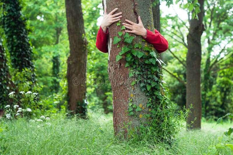 Man Hugging a Tree Trunk in a Forest Stock Photo - Image of beautiful ...
