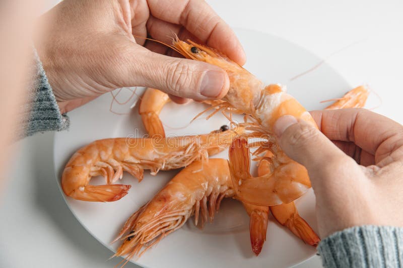 Man about To Eat a Cooked Prawn Stock Image - Image of head, gastronomy ...