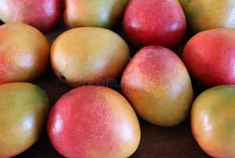 Closeup of Mangoes, Mango Fruit, Tropical Fruit . Stock Photo - Image ...
