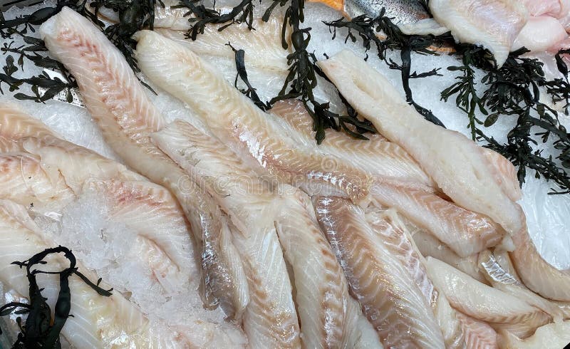 Closeup of Many Fresh Raw Atlantic Cod Fish Filets on Ice at Counter in ...