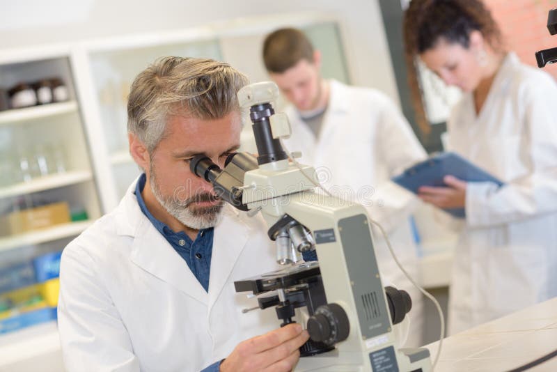Closeup Mature Male Scientist Using Microscope in Laboratory Stock ...