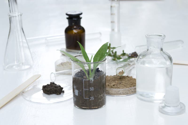 Closeup of Medical Glassware.Process of Laboratory Experiments,plant ...