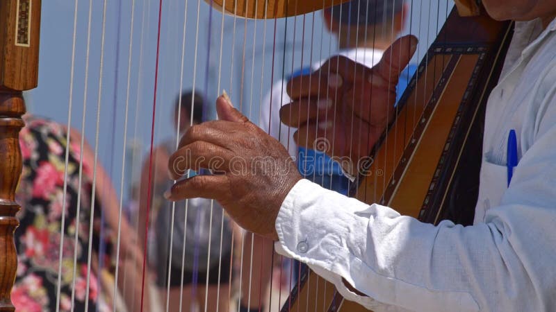 Closeup of a Mexican Harp Player S Dark Skinned Hands and Long Nails ...