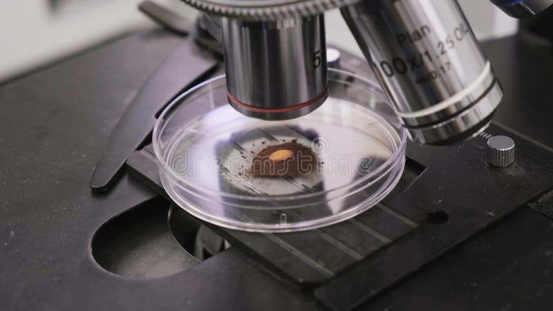 Closeup of Microscope with Ray of Light Stock Footage - Video of ...