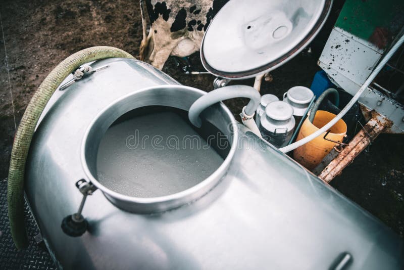 Closeup of Milk Tank on a Cow Exploration Stock Photo - Image of food ...
