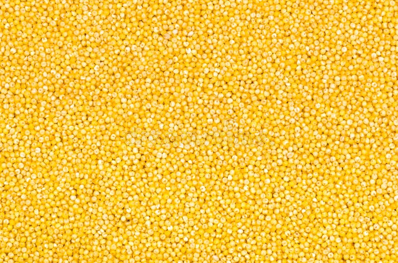 Closeup millet texture stock image. Image of protein - 31354301