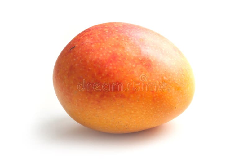 Mini Mango on White Background Stock Photo - Image of holding ...