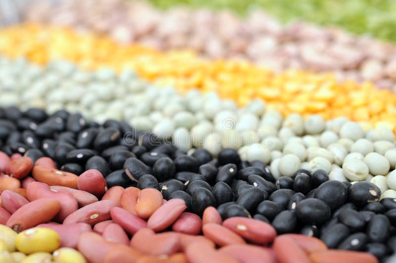 Closeup mix beans stock photo. Image of ripe, green, light - 35393920