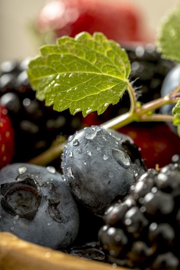 Closeup of Mixed Berry Fruits Stock Image - Image of closeup, ripe ...