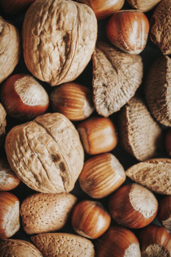 Closeup of mixed nuts stock photo. Image of food, shells - 87515652