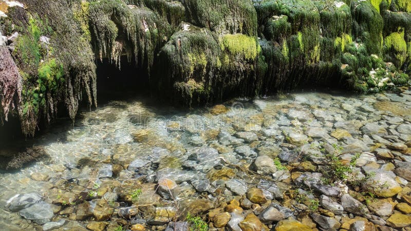 Closeup of Moss-covered Rocks on a Rocky Lake Stock Image - Image of ...