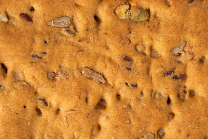 Closeup on Multi Grain Bread Texture Stock Photo - Image of backdrop ...
